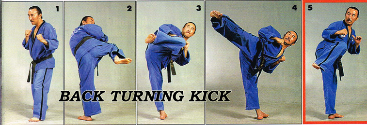 Martial Arts Combat Sports Article